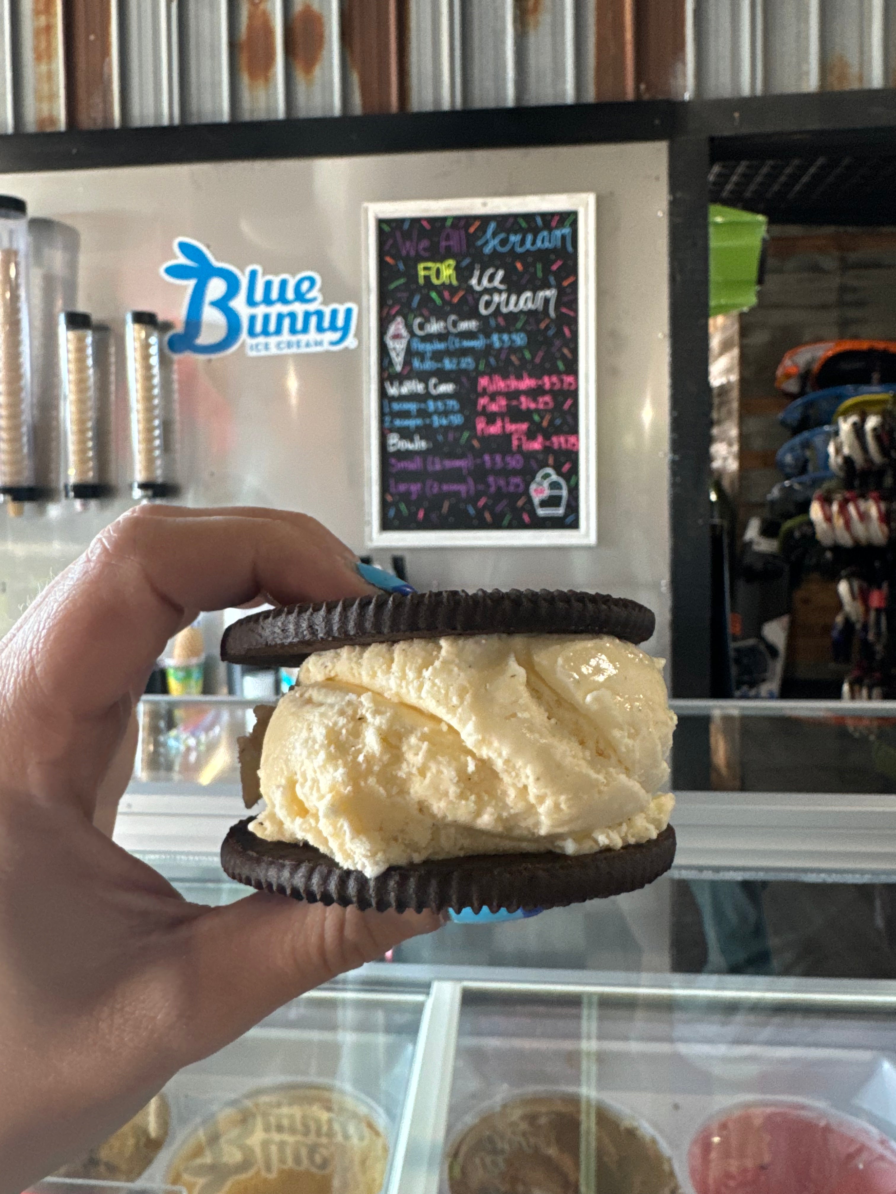 Ice Cream Sandwich – MN Tru North